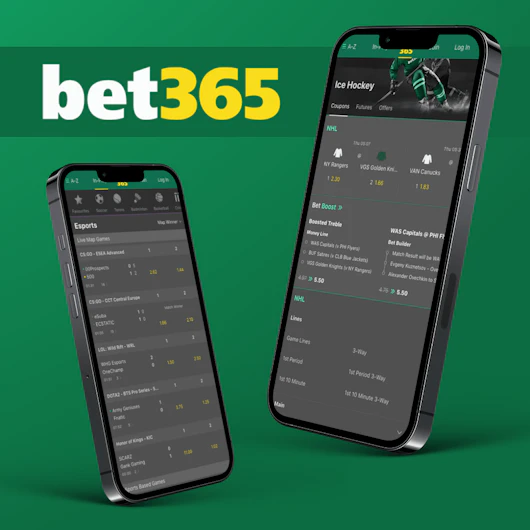 Bet365 in France: 6 things to know before you bet